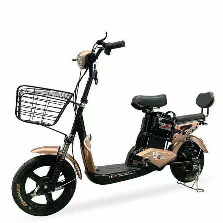 New International Standards Electric Bicycle – New Two-Wheel Electric ...